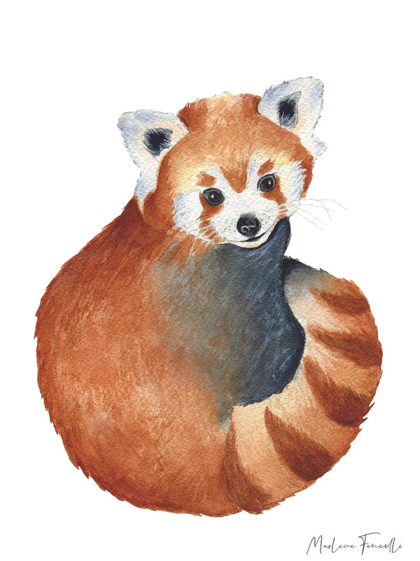 Aquarelle en cadre Marius le panda roux - Marlène Fancelli Art | Emilie ...