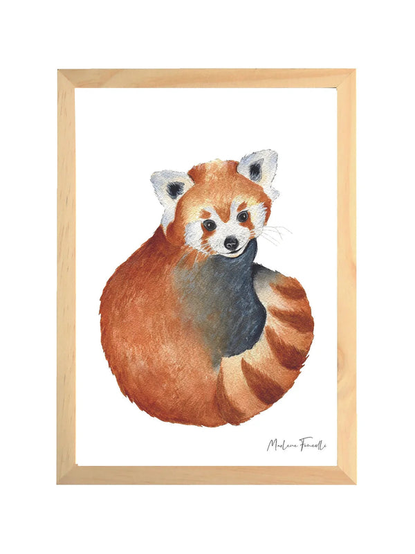 Aquarelle en cadre Marius le panda roux - Marlène Fancelli Art | Emilie ...